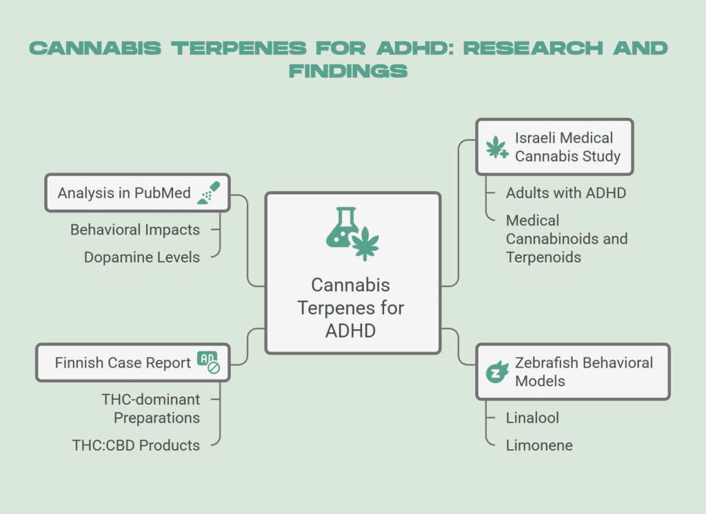 Cannabis Terpenes for ADHD: Research-Backed Guide