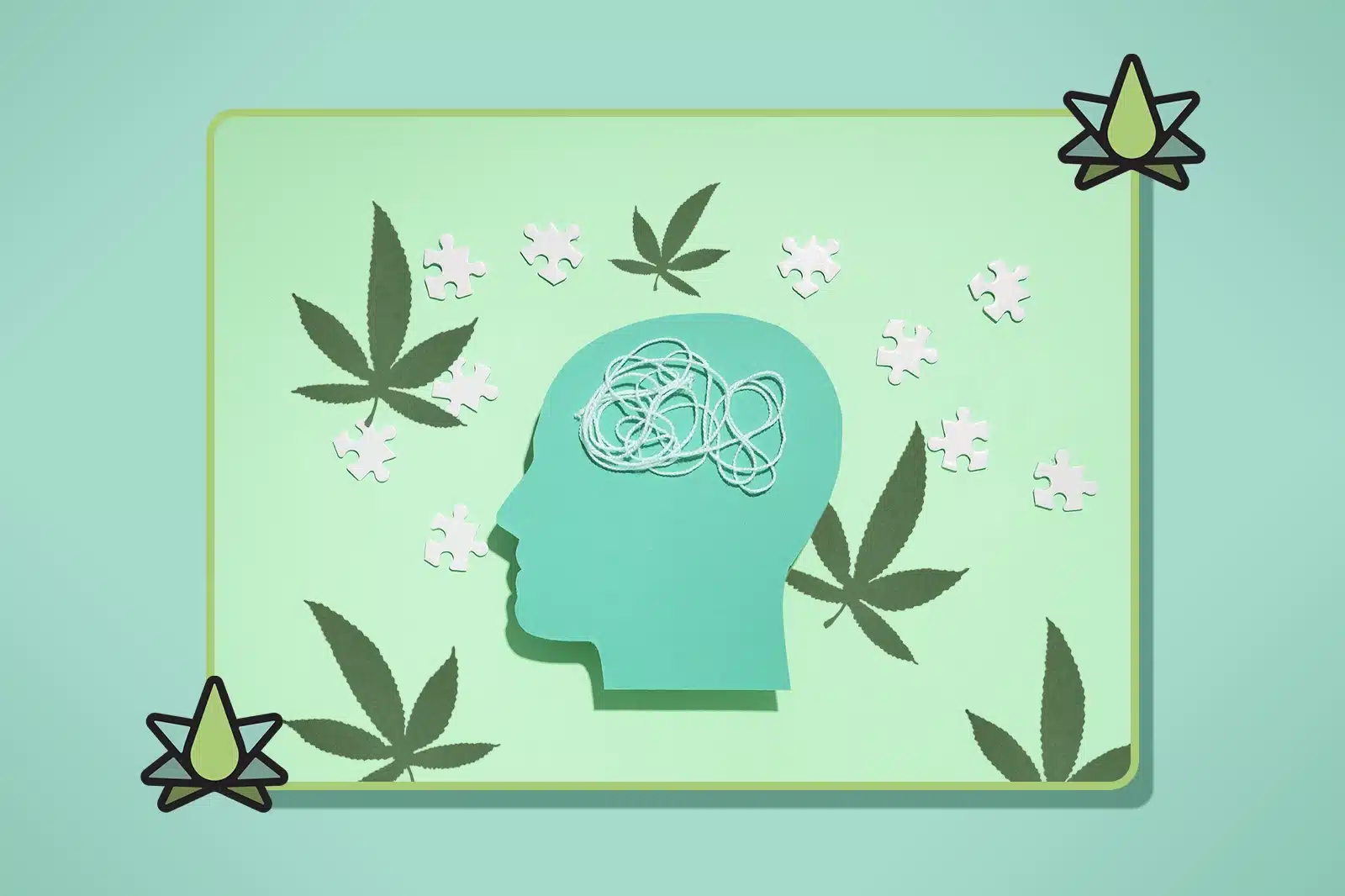 Cannabis Terpenes for ADHD: Research-Backed Guide