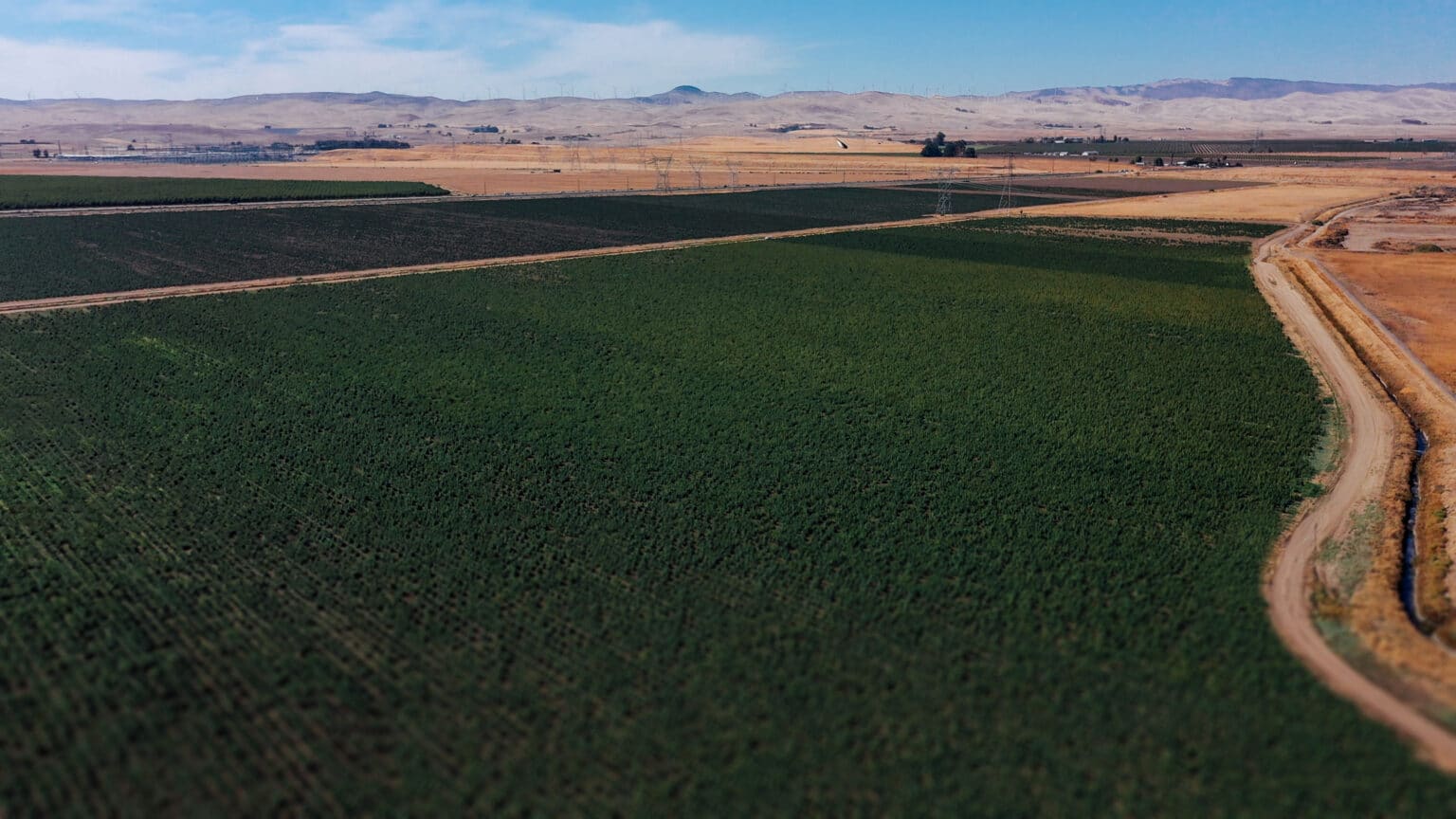 White Label Program | Terpene Belt Farms