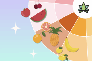 Terpene Wheel: Cannabis Aromas & Effects Through Whole Plant Science ...