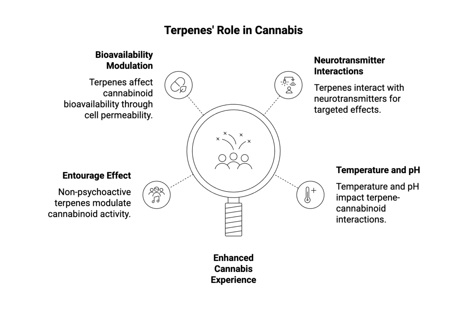 Do Terpenes Get You High? 2025 Formulation Guide