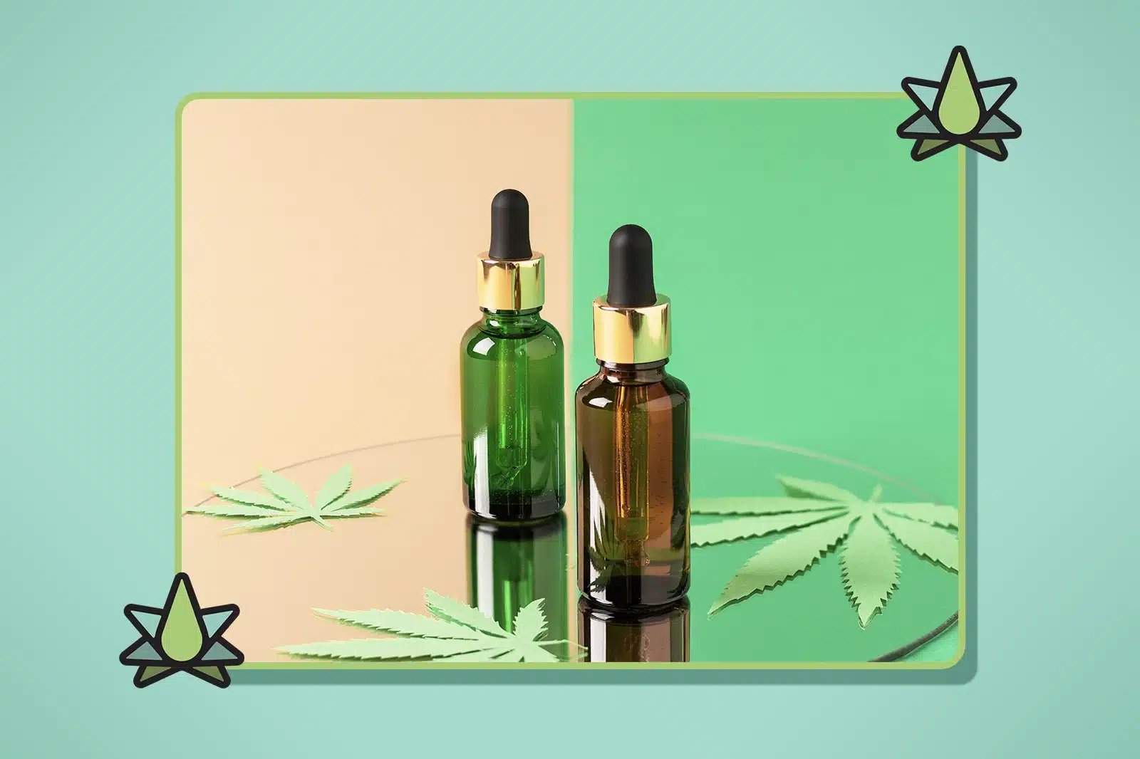 Botanical Terpenes vs. Cannabis-Derived Terpenes