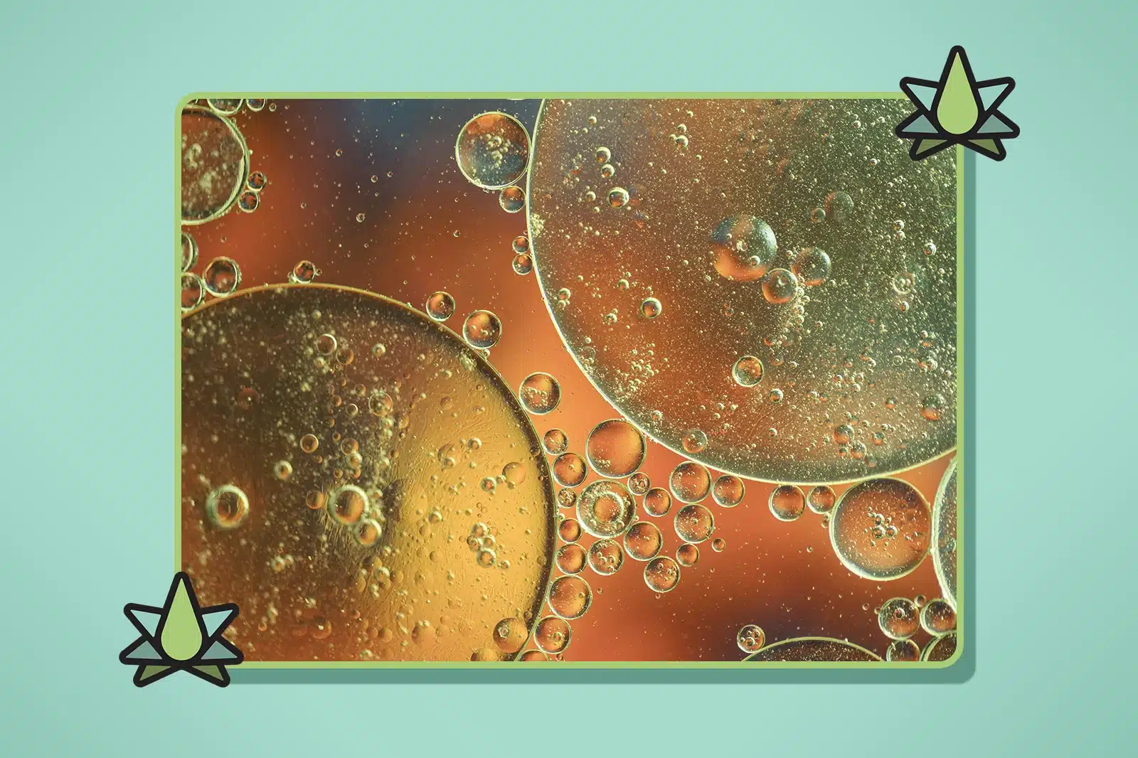 Are Terpenes Lipids? Chemical Structure Guide for Cannabis