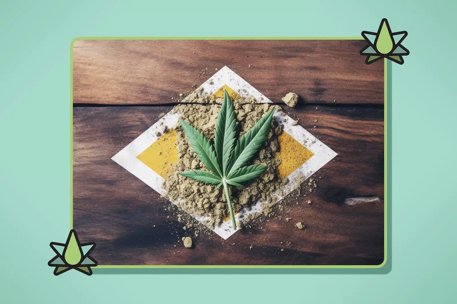 Does Hash Have Terpenes? Hash vs Rosin vs Kief Guide