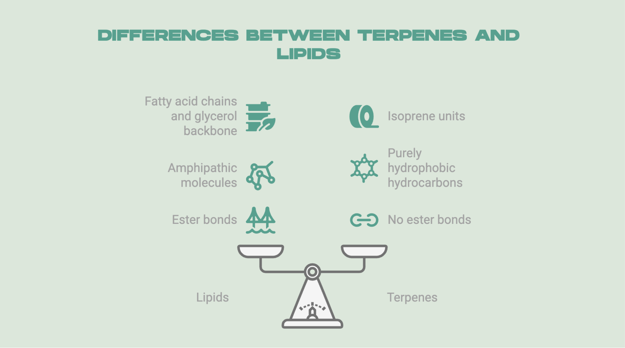 Are Terpenes Lipids? Chemical Structure Guide for Cannabis