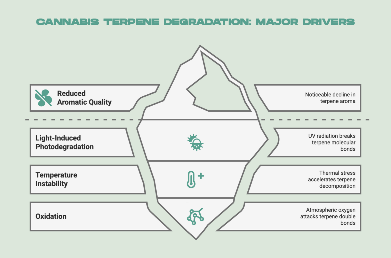 What is a Terpene Shield: Preservation Beyond Humidity