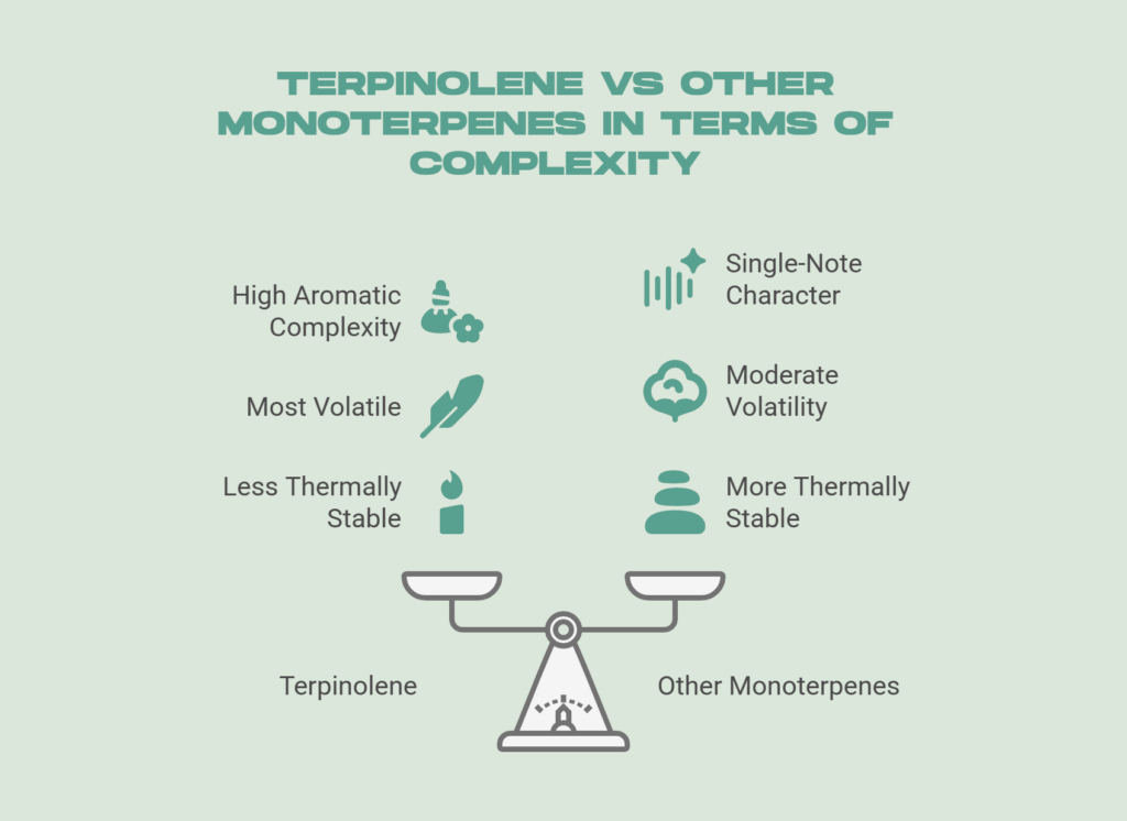 Terpinolene Terpene: Effects, Strains & Formulation