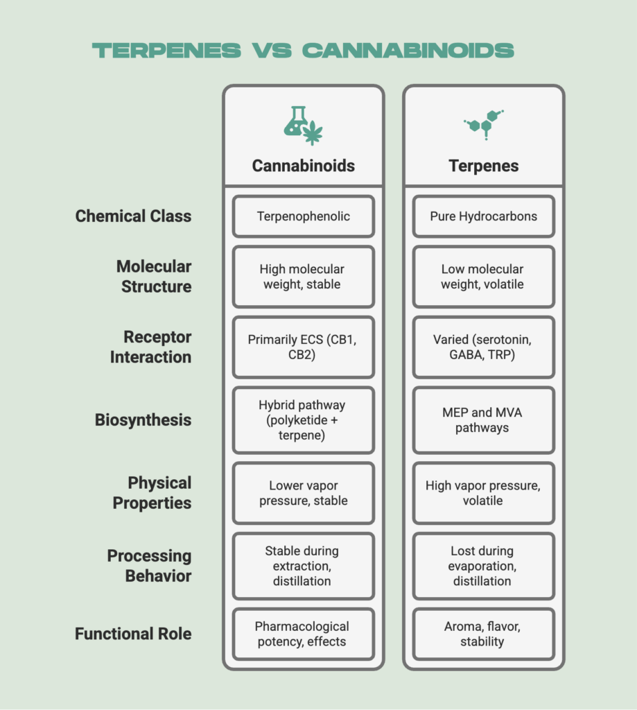 What Are Cannabis Terpenes? A Formulator's Guide