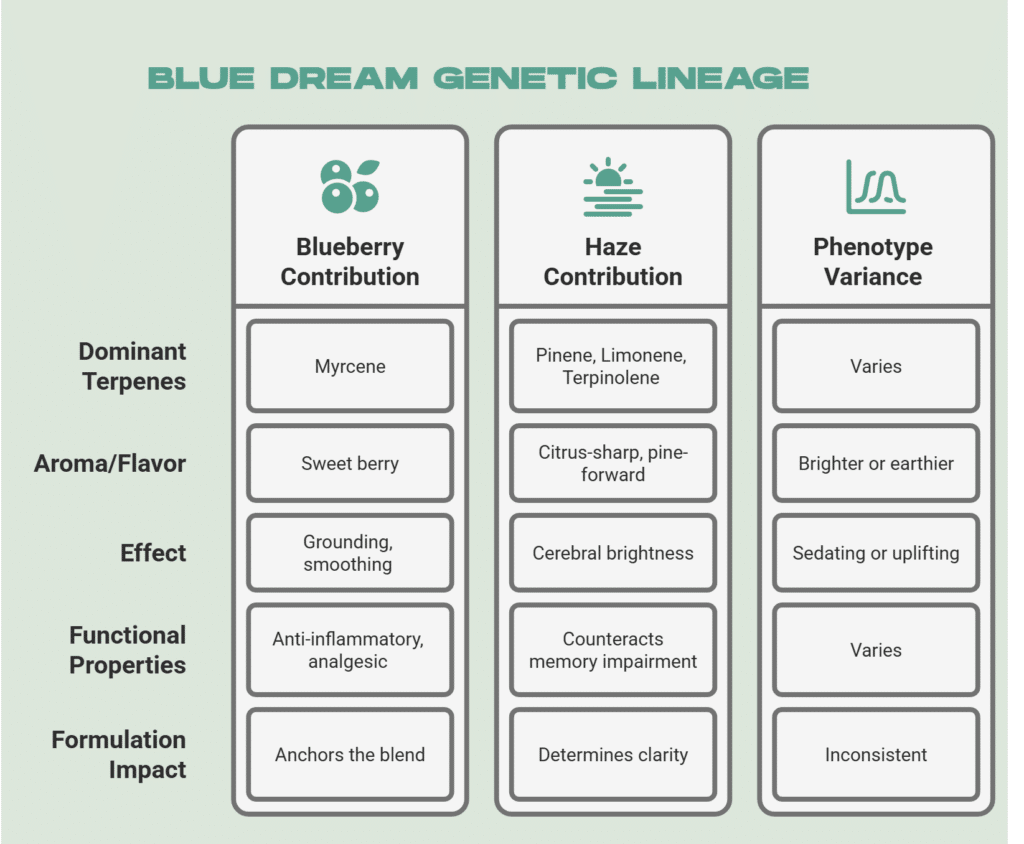 Blue Dream Terpenes: Profile, Ratios & Formulation